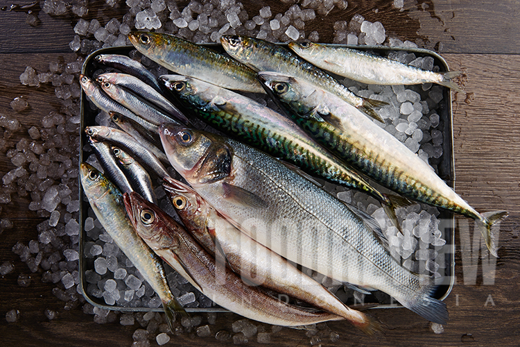 Potensi Hasil Perikanan dan Kelautan Indonesia